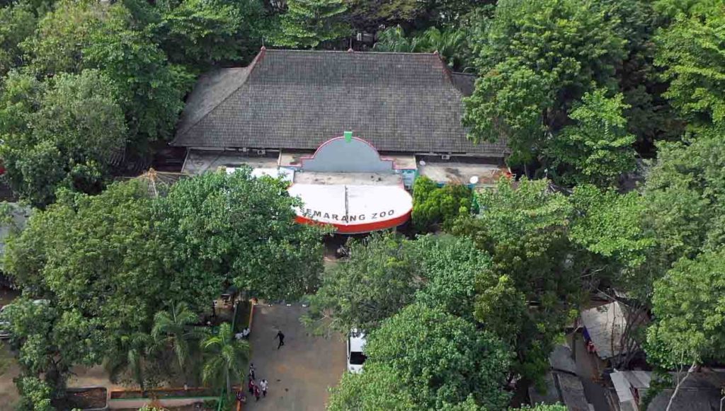 Semarang Zoo Kembali Dibuka – Pemerintah Provinsi Jawa Tengah